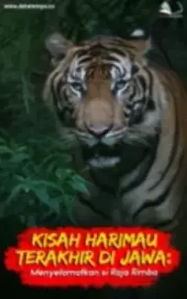 Kisah Harimau Terakhir di Jawa: Menyelamatkan si Raja Rimba - bacabuku ...
